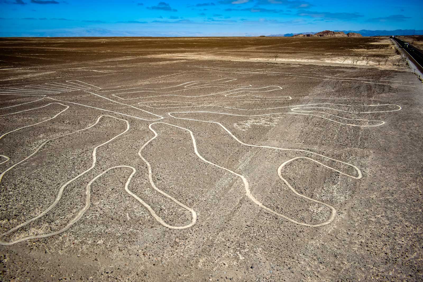 Tours Líneas de Nazca | Explora este misterio de Nazca